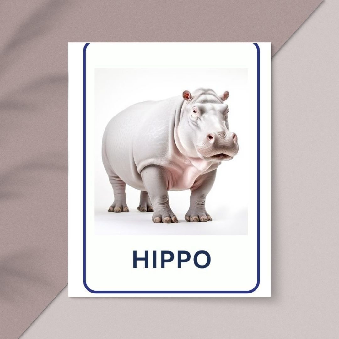 32 Zoo Animals Flashcards, Kids Printable, Nomenclature Cards, Toddler ...