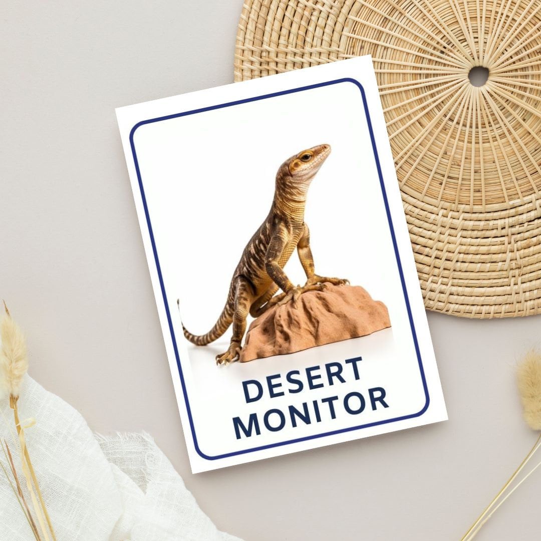 Explore Desert Wonders, 32 Desert Animals Flashcards for Kids and ...