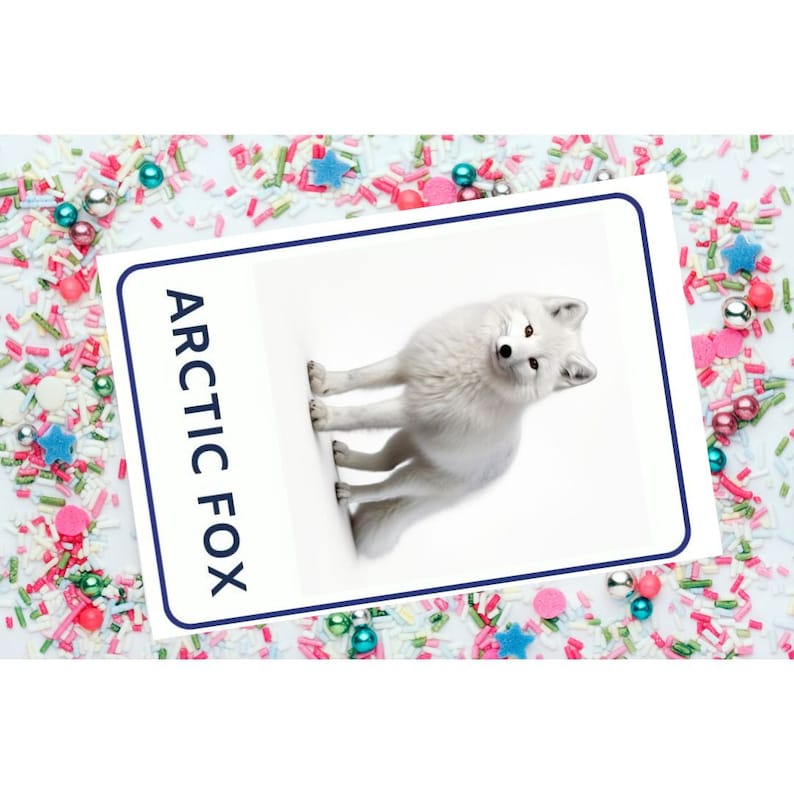 Chill With Arctic Friends, 32 Arctic Animals Flashcards for Kids and ...