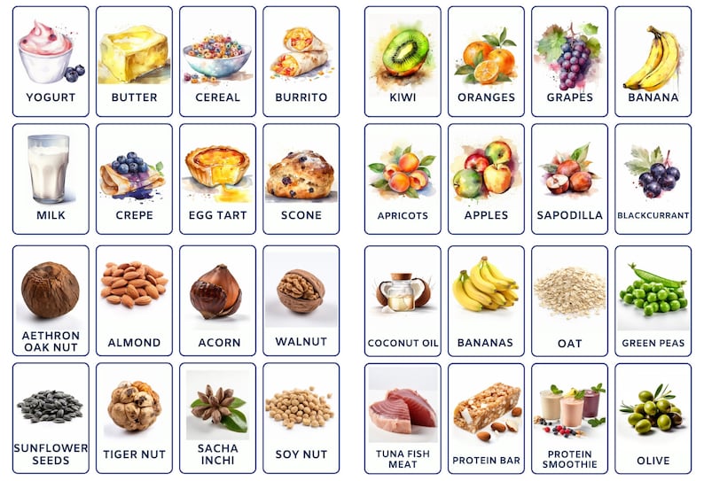 Health and Nutrition Flashcard Bundle, Including Fruits, Breakfast ...