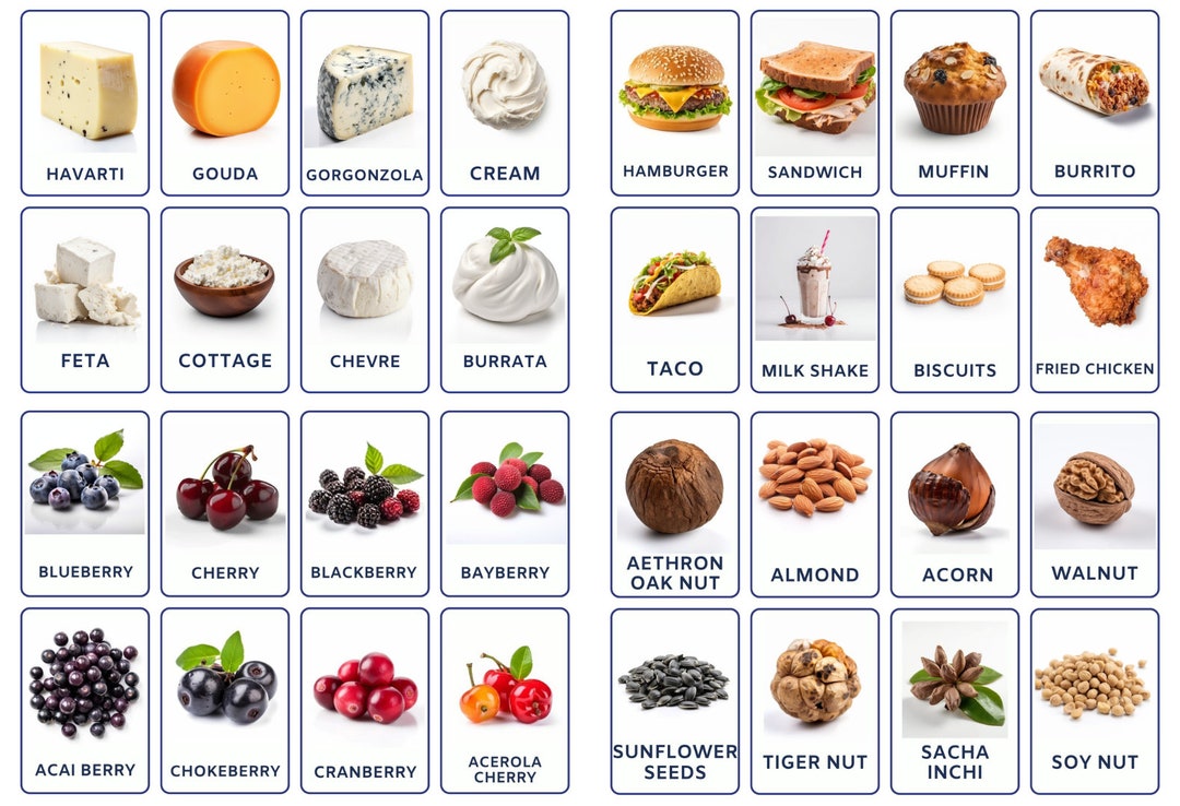 Flashcard Bundle of Learning Food Bundle Includes Fast Food, Protein ...