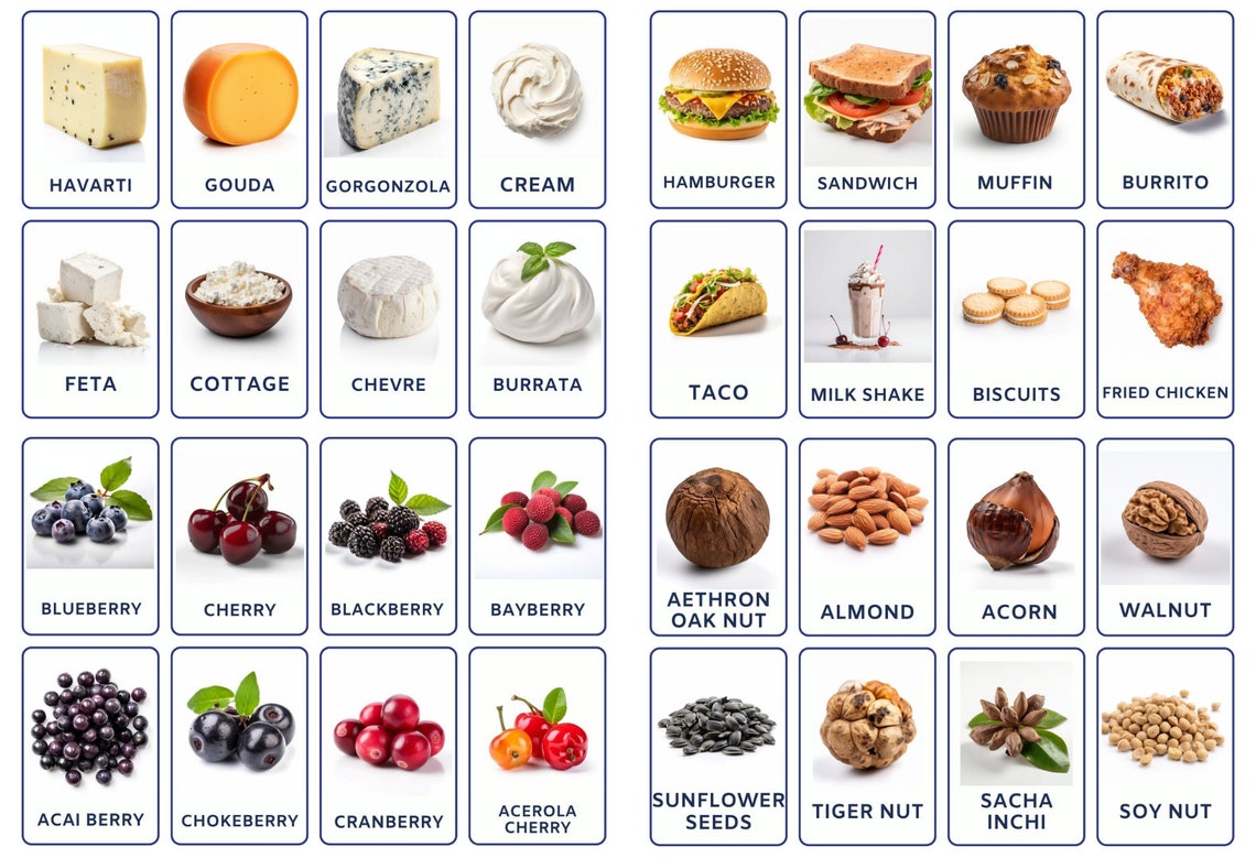 Flashcard Bundle of Learning Food Bundle Includes Fast Food, Protein ...