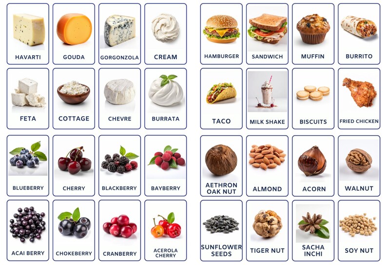 Flashcard Bundle of Learning Food Bundle Includes Fast Food, Protein ...