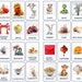 32 Chinese Lunar Year Flashcards, Kids Printable, Nomenclature Cards ...
