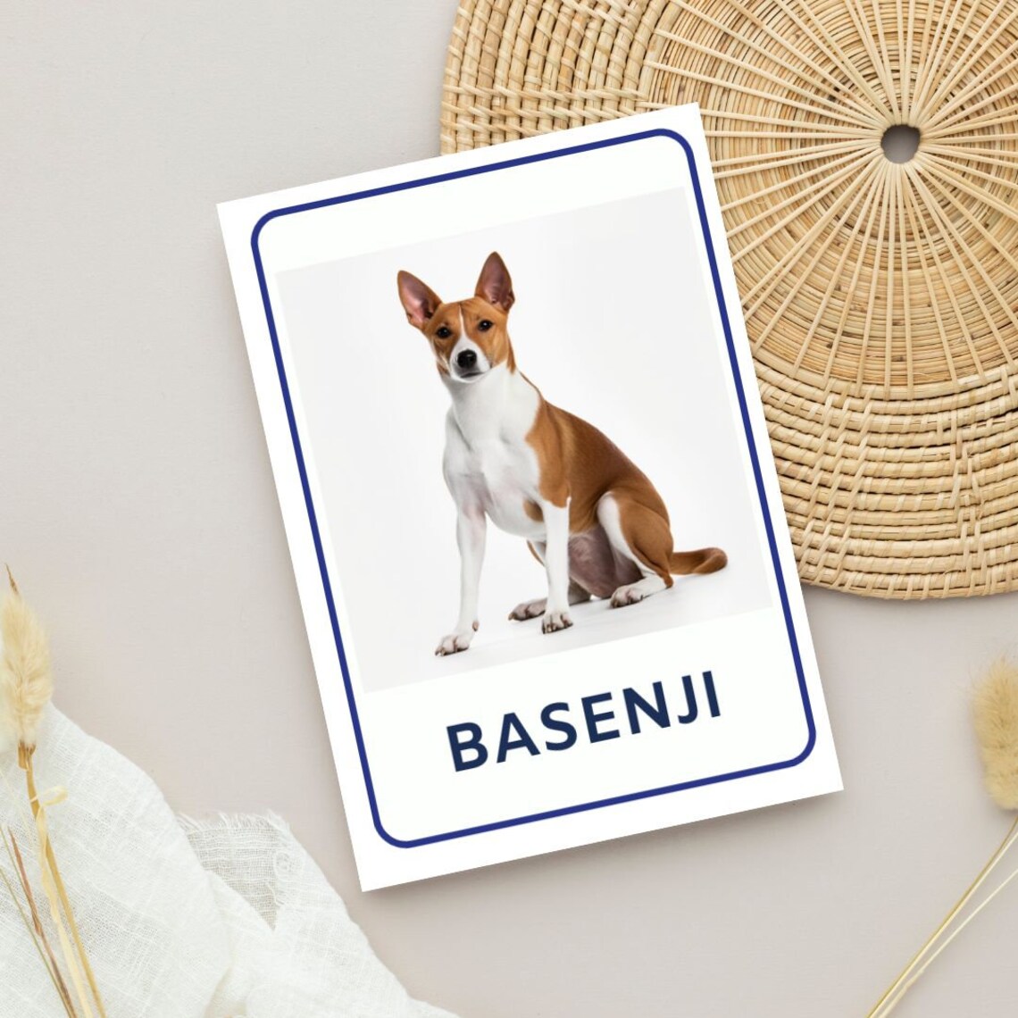 Explore Dog Breeds 32 Montessori Flashcards With Real Pictures ...