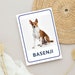 Explore Dog Breeds 32 Montessori Flashcards With Real Pictures ...