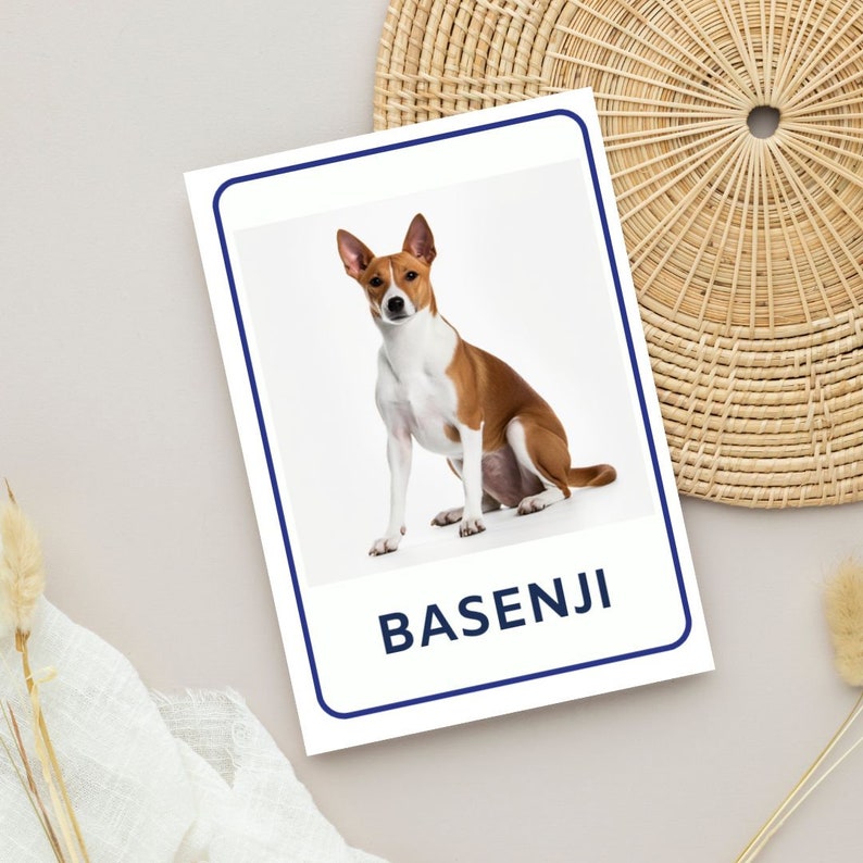 Explore Dog Breeds 32 Montessori Flashcards With Real Pictures ...
