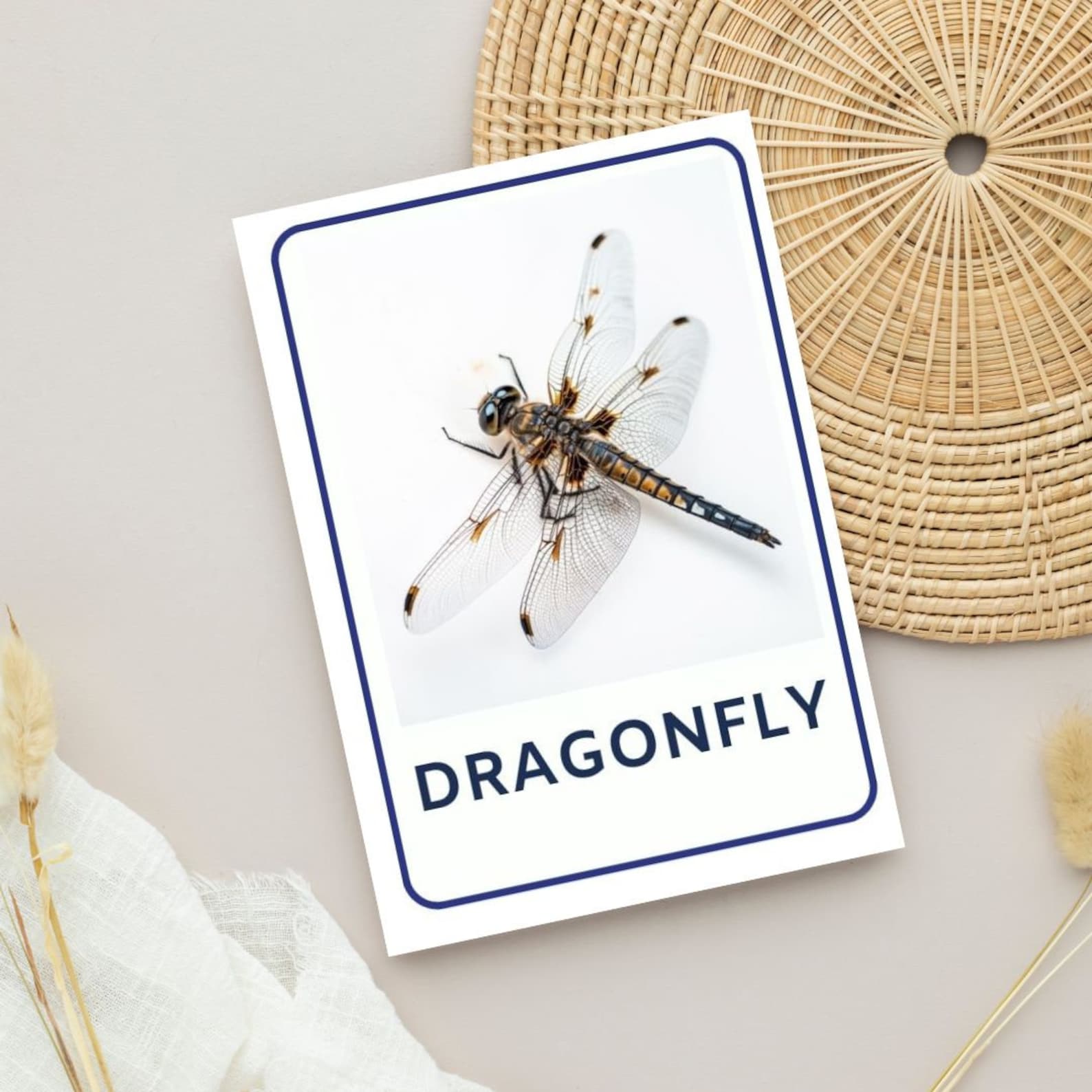 32 Insects Flash Cards, Montessori Flash Cards, Preschool Activity ...