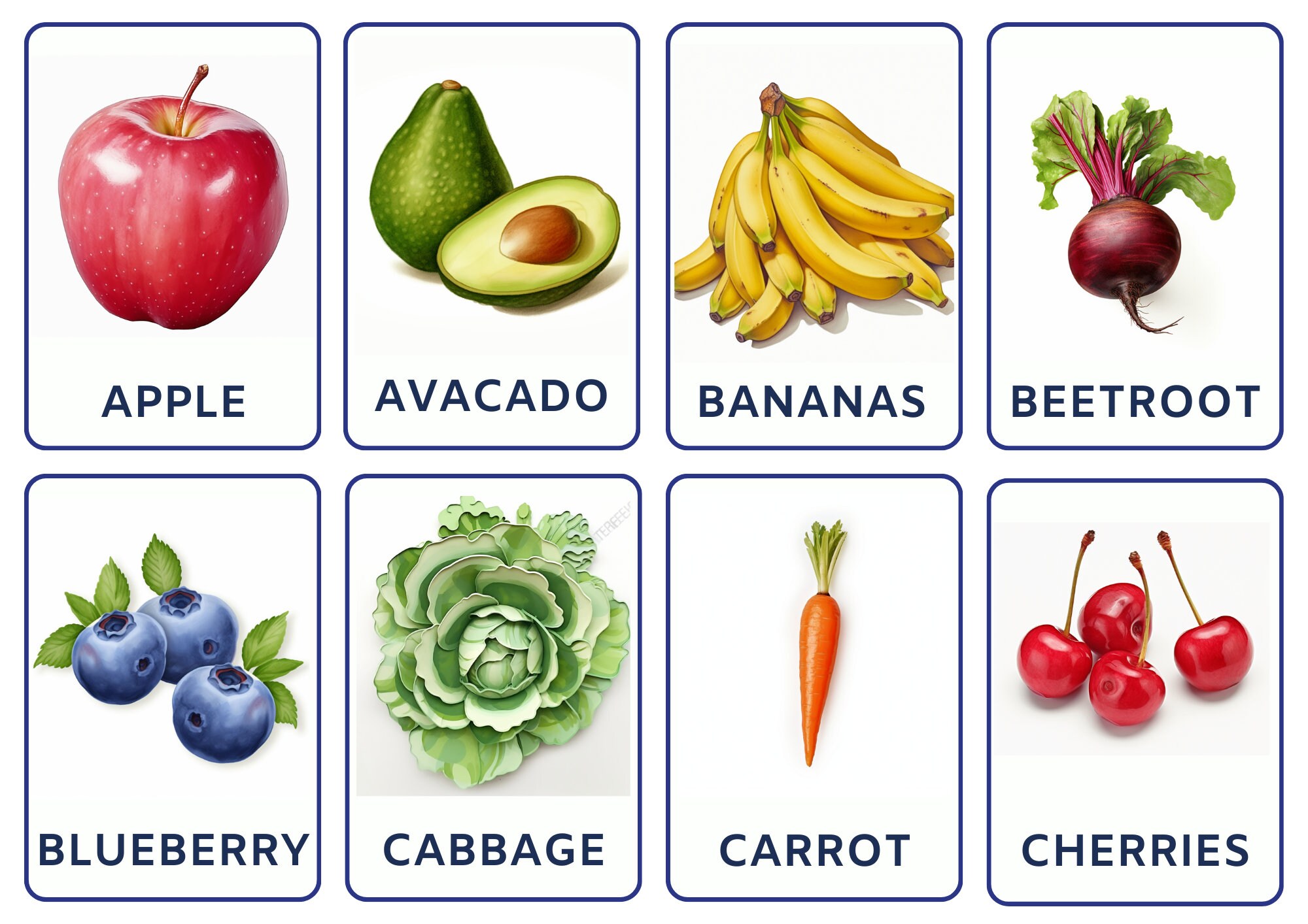 Flashcard Bundle of Winter Nature Bundle Includes Winter Vegetables ...