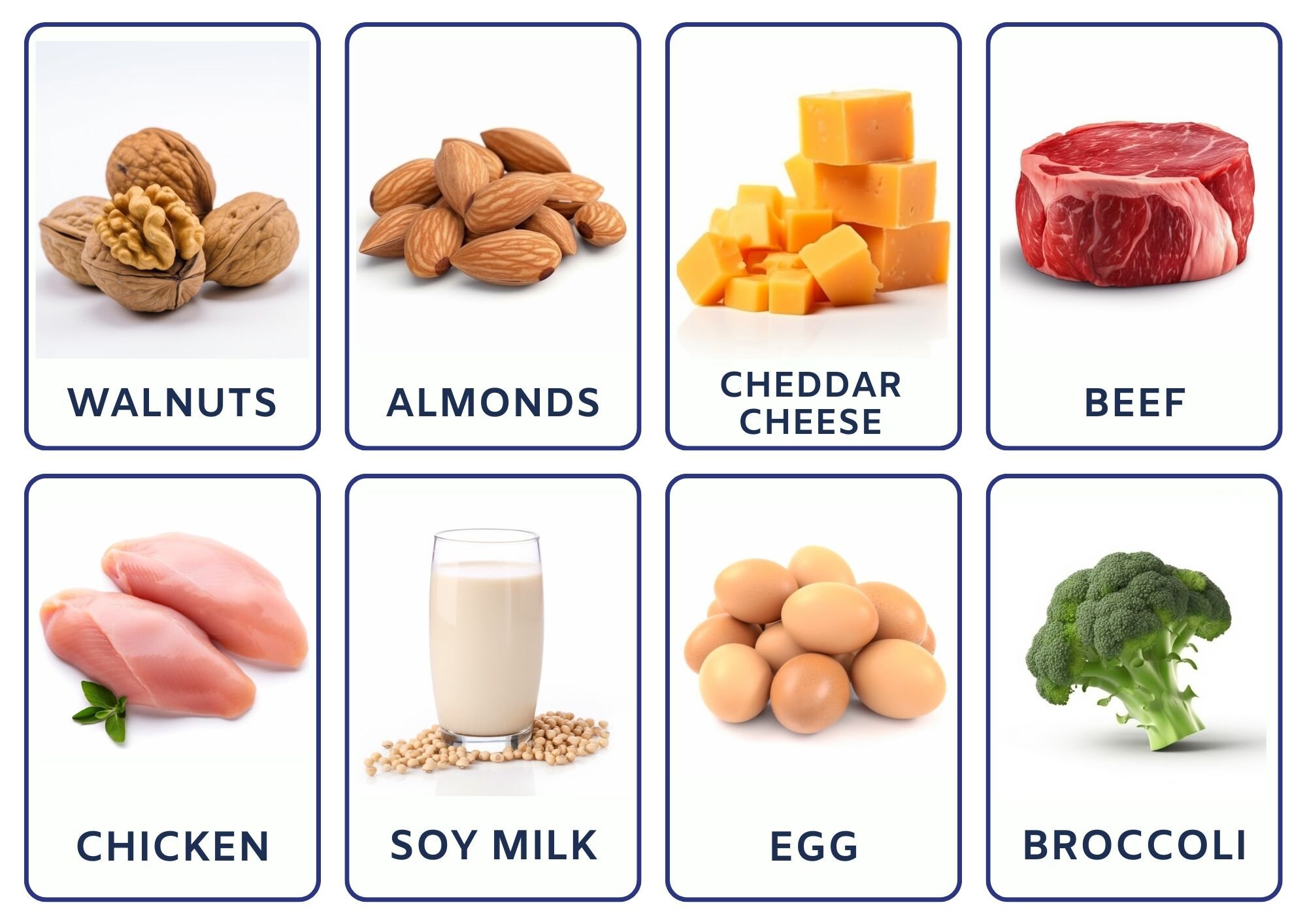 Flashcard Bundle of Learning Food Bundle Includes Fast Food, Protein ...