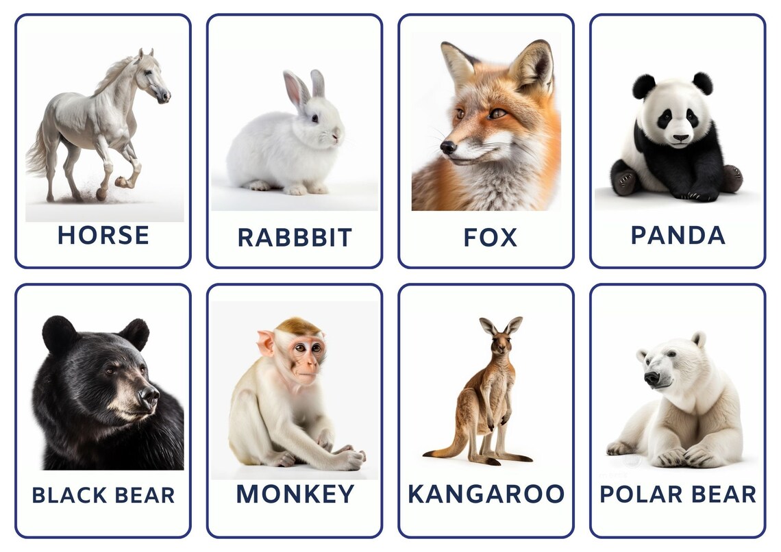 Safari and Jungle Animal Flashcards, Zoo, Woodland, Wild Animals ...