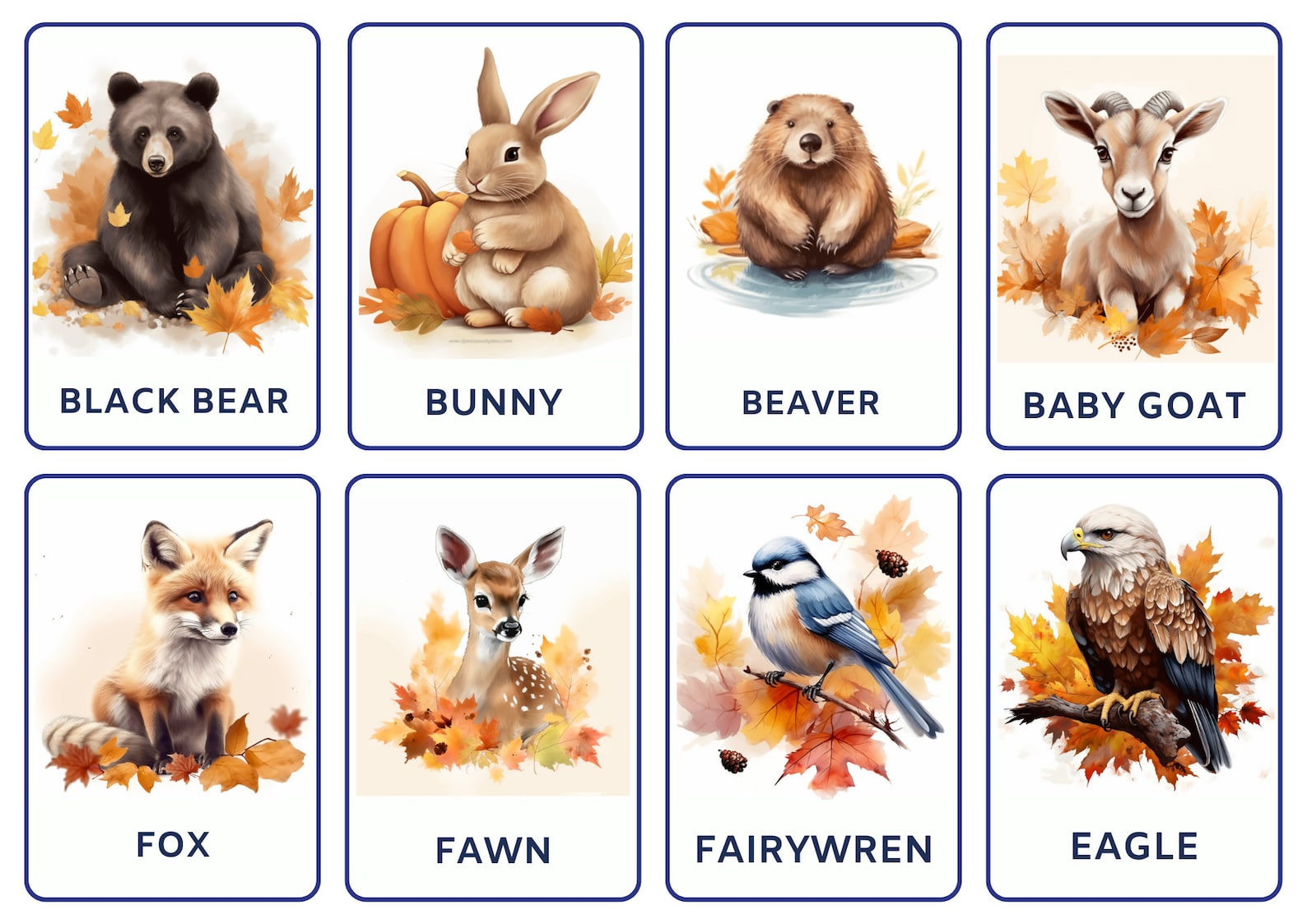 Flashcard Bundle of Nature's Beauty Including Butterflies, Woodland ...