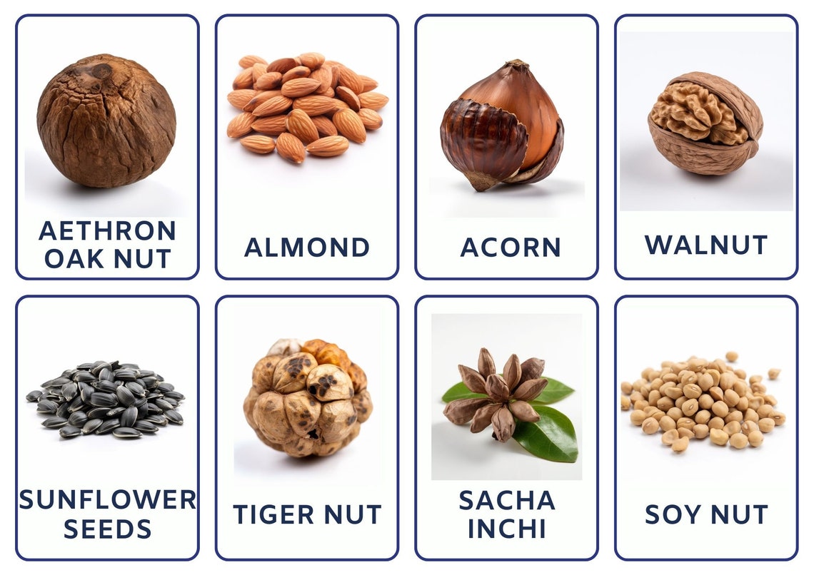 Natures Farm Feast Flashcard Bundle, Including Berries Flashcard, Nuts ...