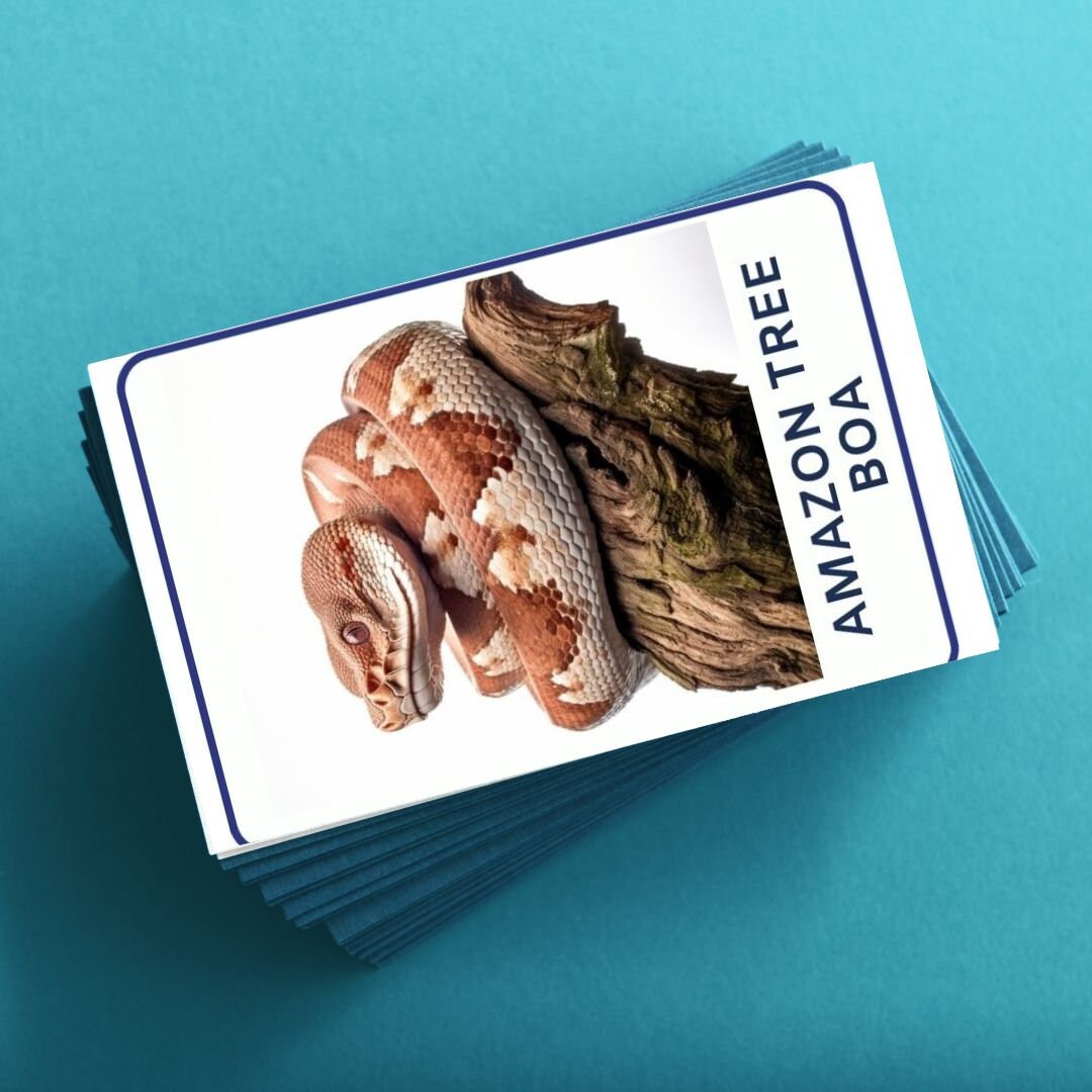 32 Snakes Flashcards, Kids Printable, Nomenclature Cards, Toddler ...