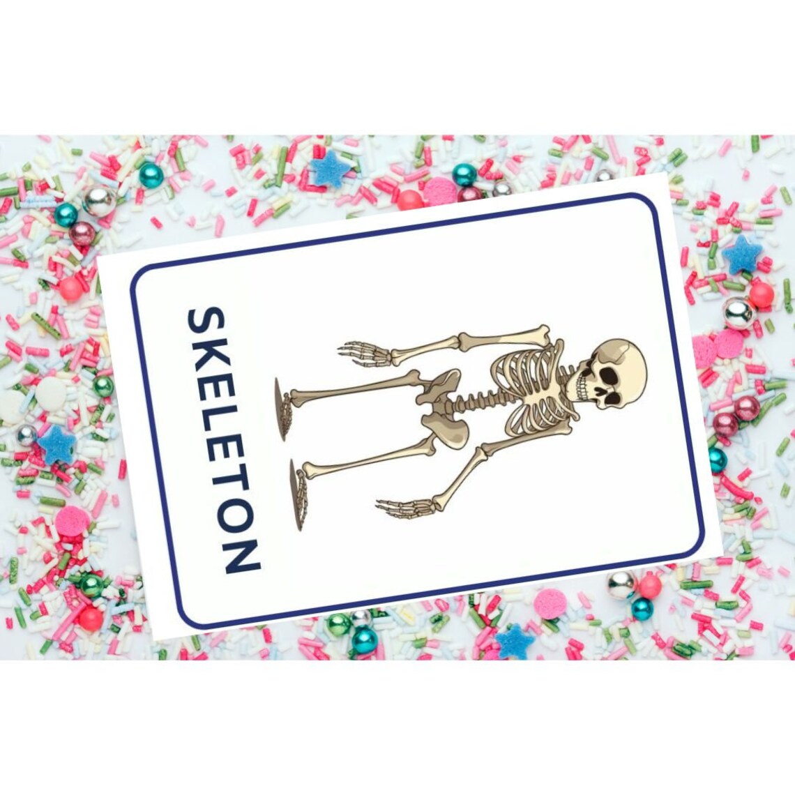 Spooky Halloween Vocabulary Flash Cards, 32 Editable Montessori Cards ...