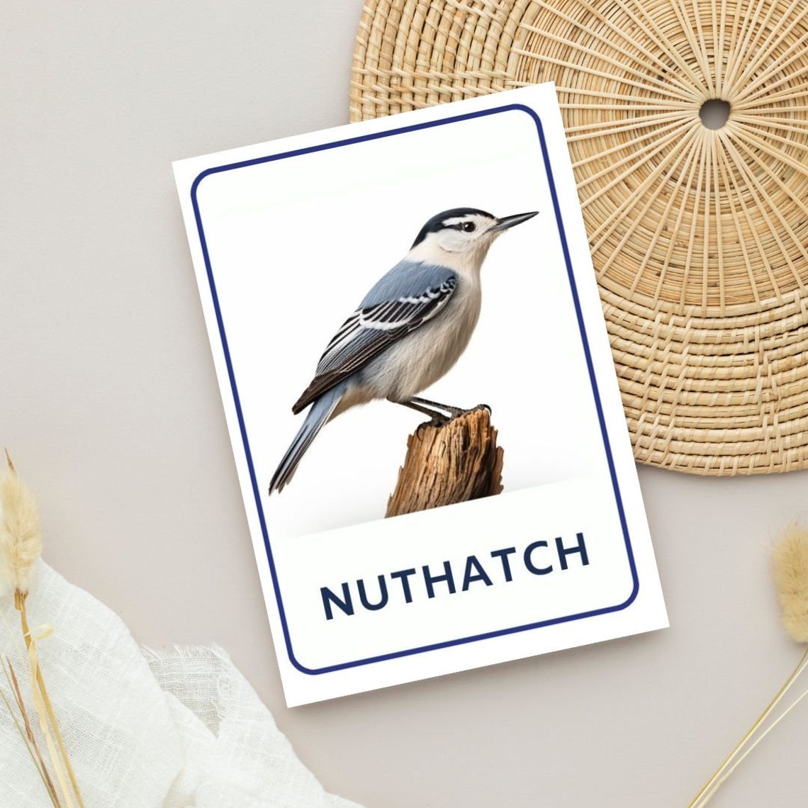 32 Winter Birds Flashcards, Kids Printable, Nomenclature Cards, Toddler ...