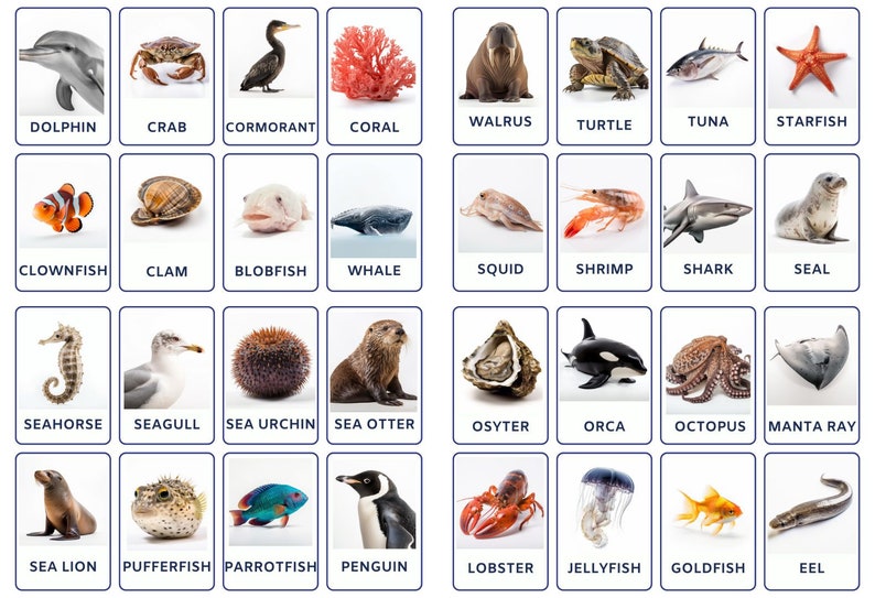 Engage Kids With 32 Ocean Animals Flashcards, Montessori Materials ...