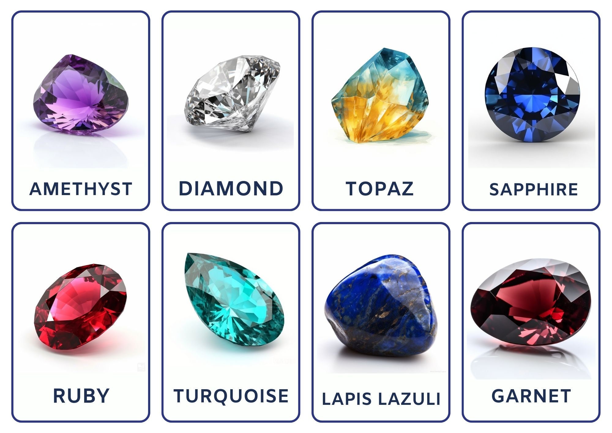 Life Essential Elements Flashcard Bundle, Including Seeds Flashcard ...