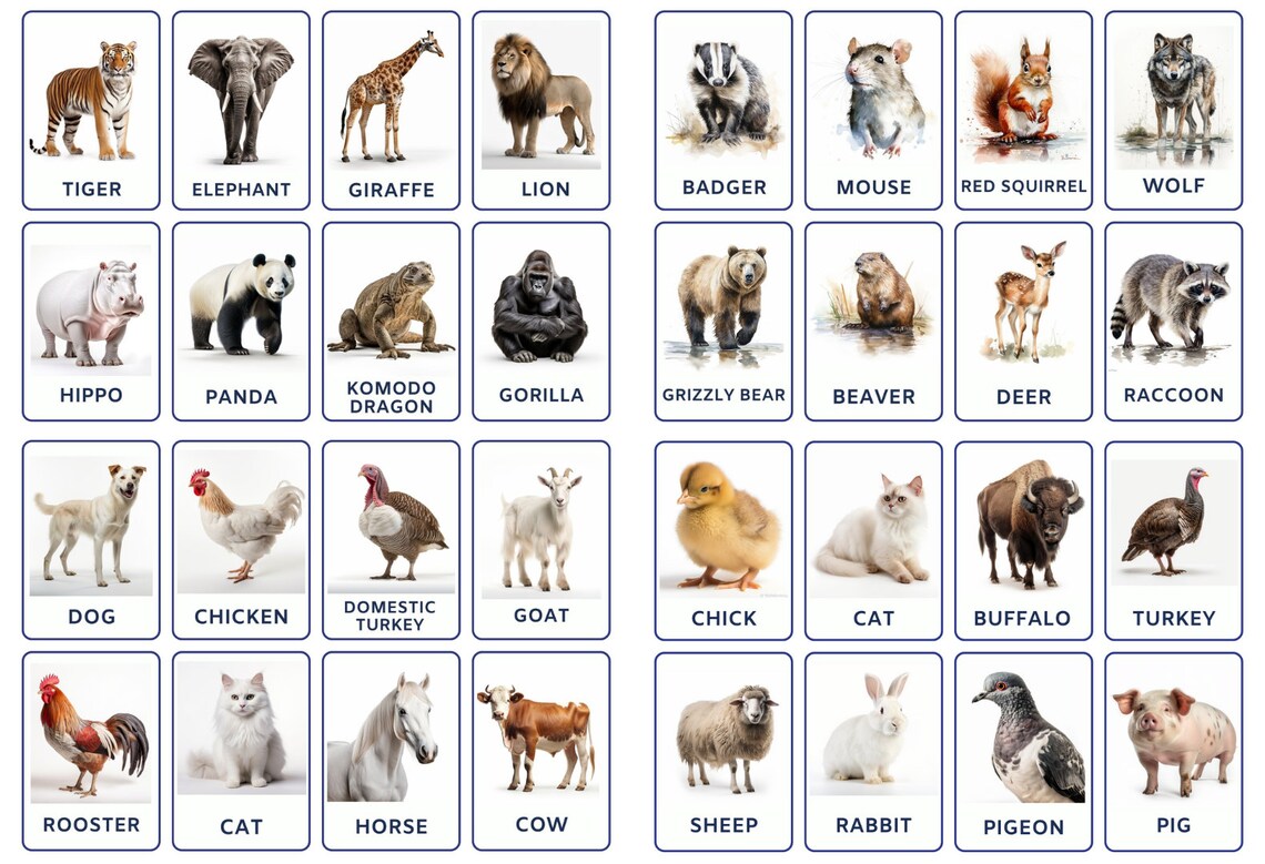 Flashcard Bundle of Woodland Animal Bundle Includes Farm Animals ...
