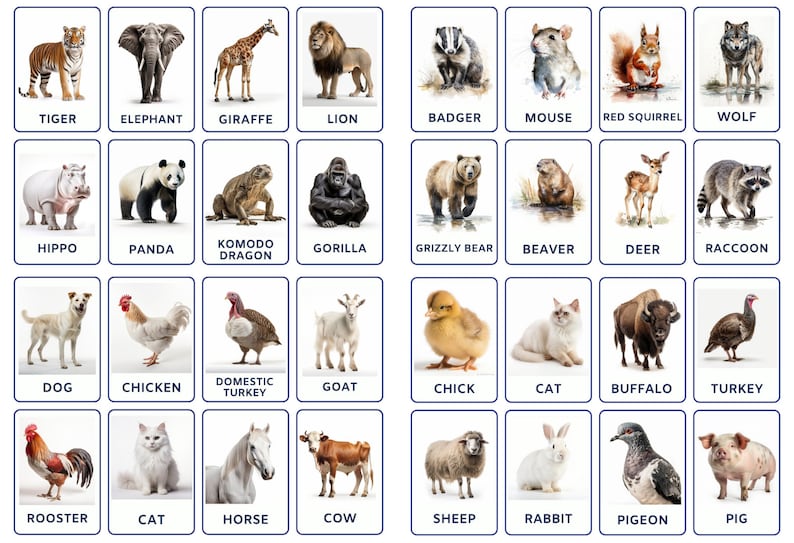 Flashcard Bundle of Woodland Animal Bundle Includes Farm Animals ...