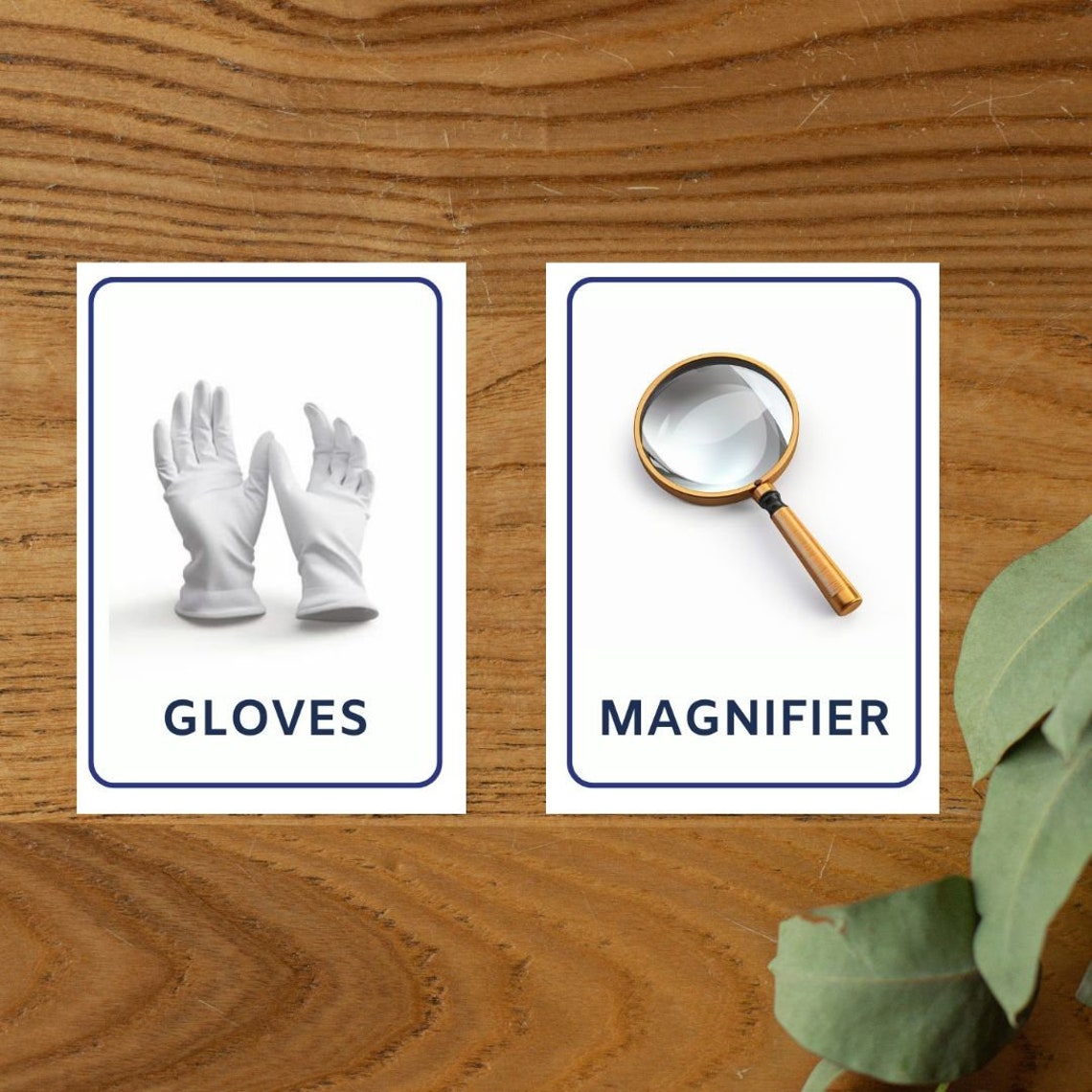 32 Laboratory Flashcards Memory and Matching Game for Scientific Fun ...