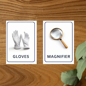 32 Laboratory Flashcards Memory and Matching Game for Scientific Fun ...