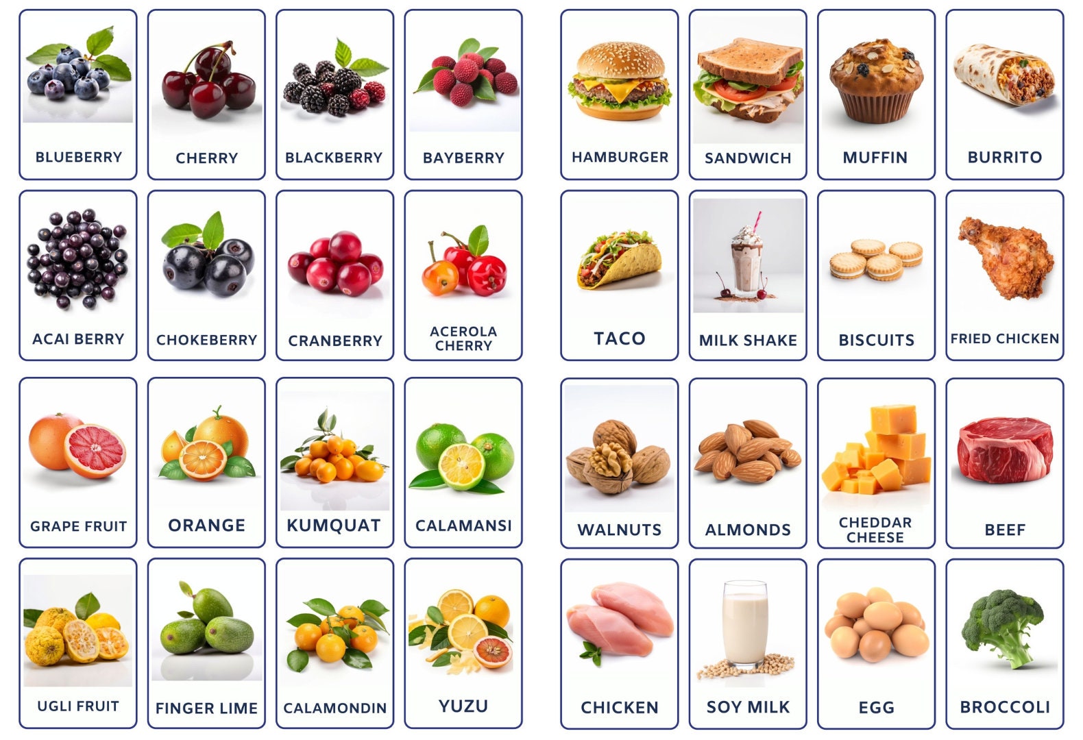 Flashcard Bundle of Food and Fruits Bundle Includes Berries, Citrus ...