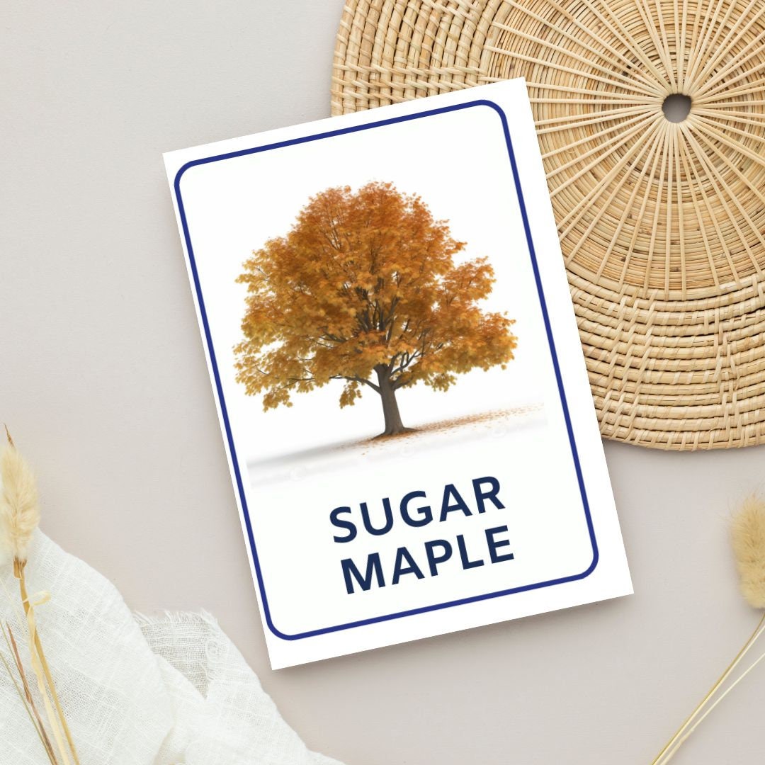 Trees, Real Pictures, 32 Editable Montessori Cards, Nomenclature ...