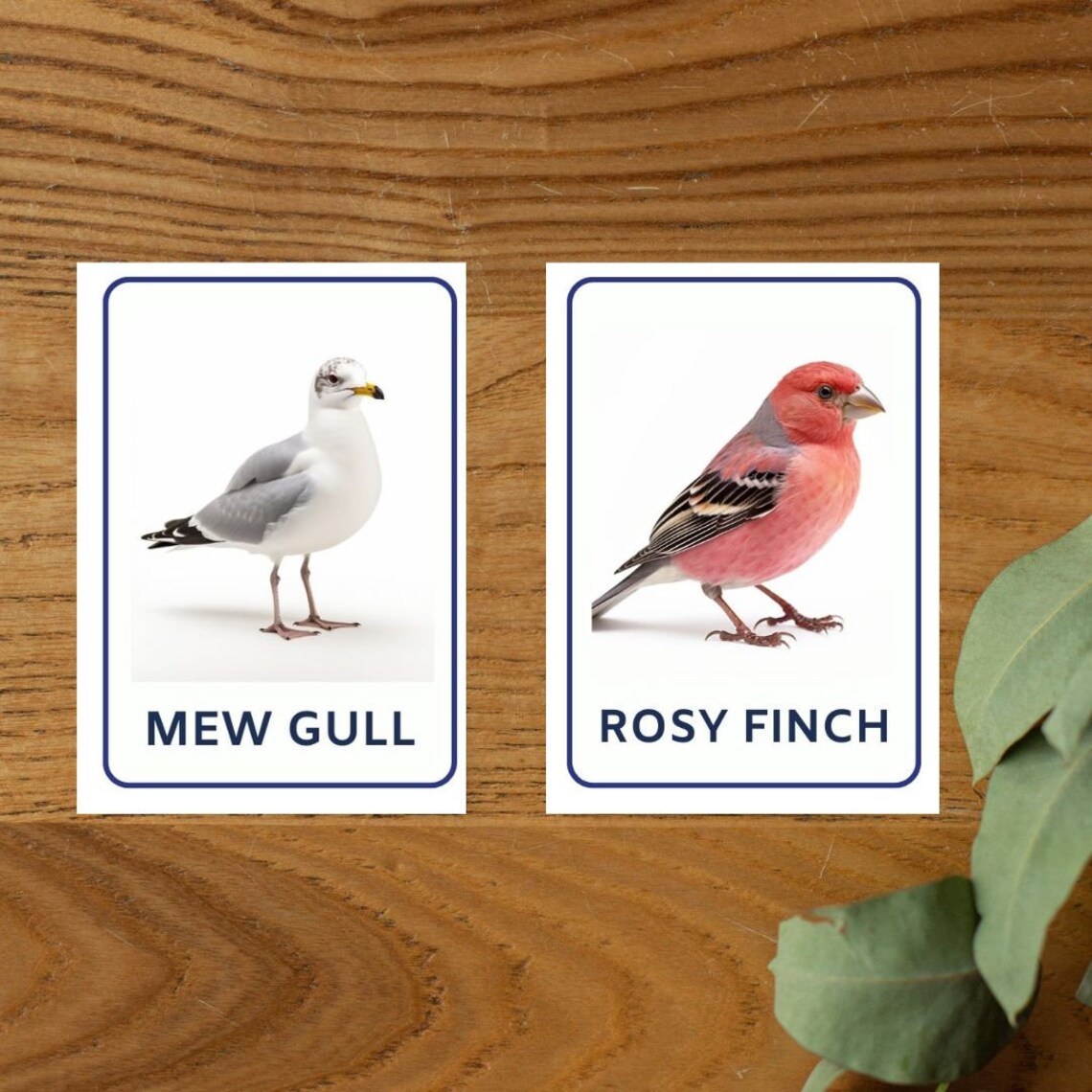 32 Winter Birds Flashcards, Kids Printable, Nomenclature Cards, Toddler ...