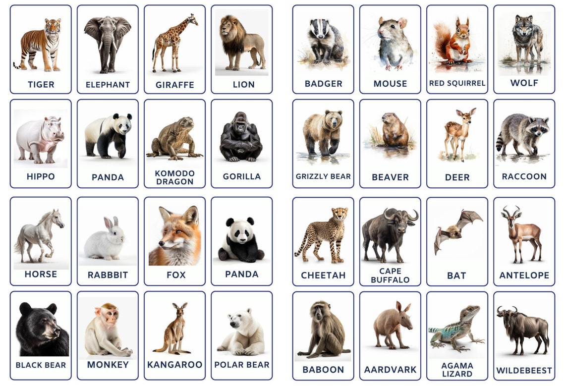Safari and Jungle Animal Flashcards, Zoo, Woodland, Wild Animals ...