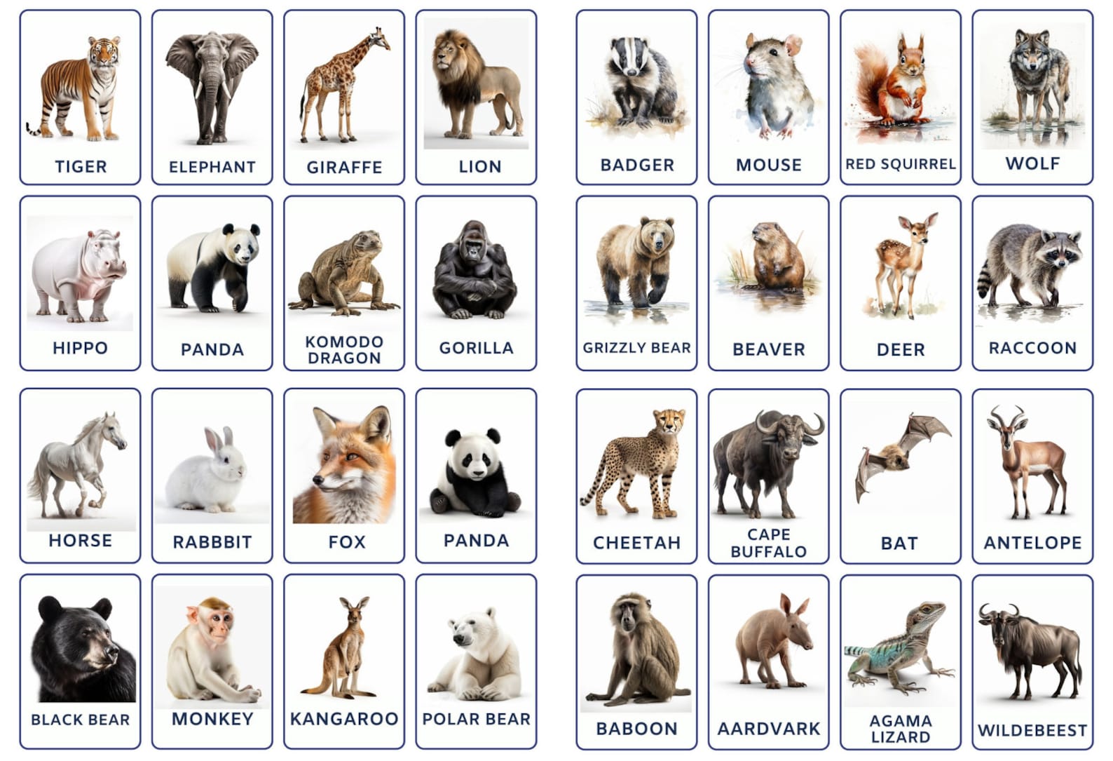 Safari and Jungle Animal Flashcards, Zoo, Woodland, Wild Animals ...