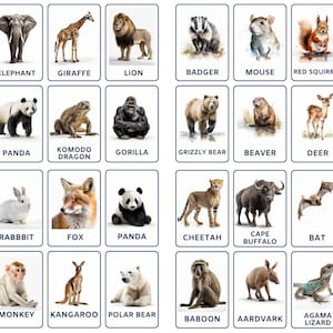 Safari and Jungle Animal Flashcards, Zoo, Woodland, Wild Animals ...