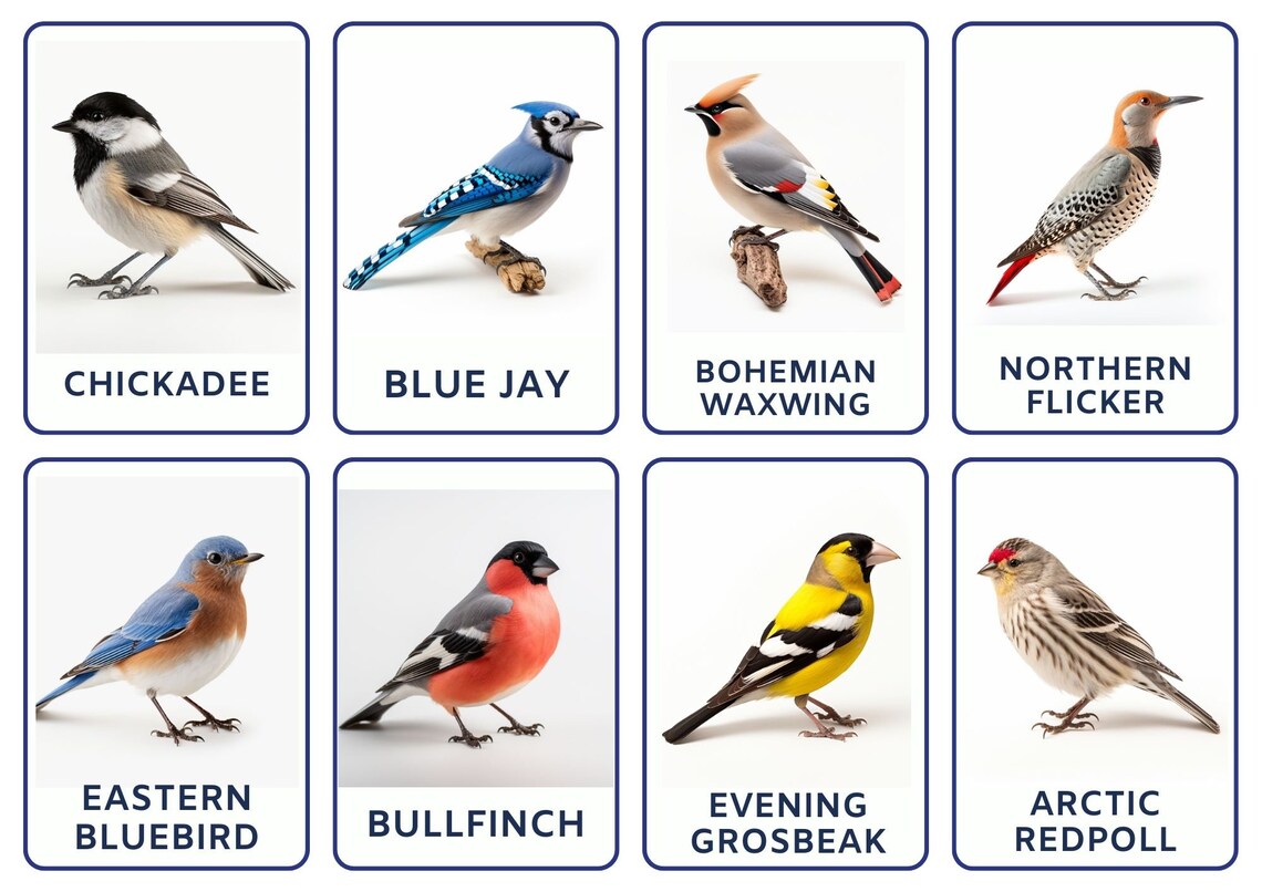 Charming Holiday Creations Flashcard Bundle, Including Winter ...