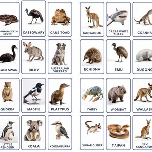 Explore 32 Australian Animals Flashcards for Kids, Printable ...