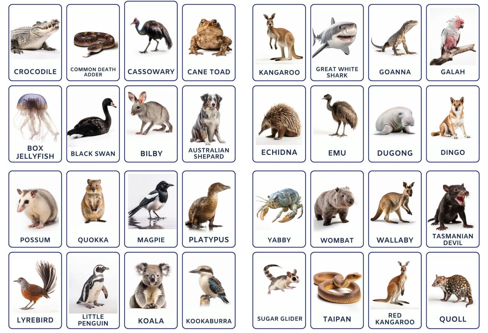 Explore 32 Australian Animals Flashcards for Kids, Printable ...