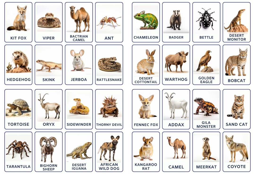 Explore Desert Wonders, 32 Desert Animals Flashcards for Kids and ...
