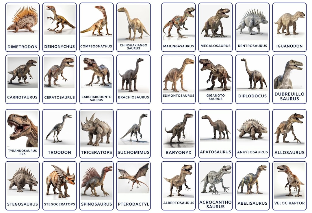 Explore Dinosaurs With 32 Montessori Flash Cards, Real Pictures ...