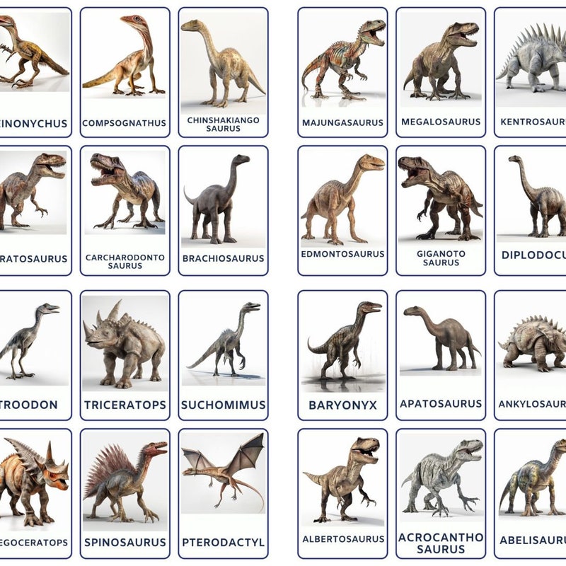 Montessori Dinosaur - Etsy