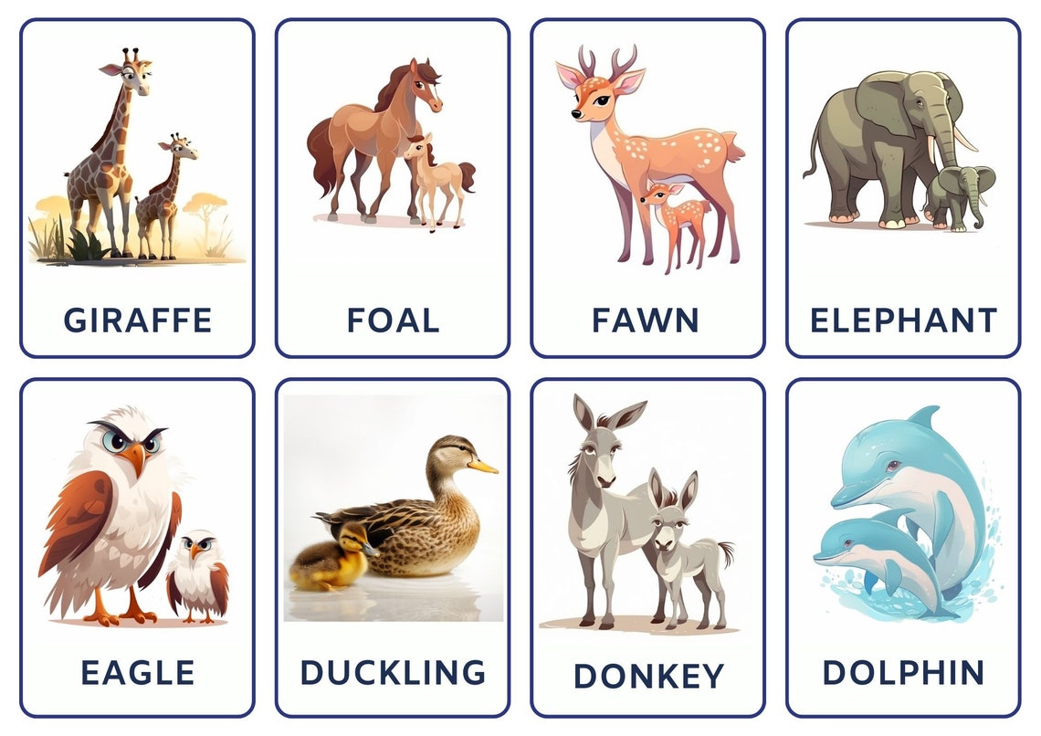 Baby Animals, Wild Creatures, Forest, Farm, Domestic, Birds, Desert ...