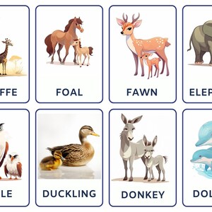 Baby Animals, Wild Creatures, Forest, Farm, Domestic, Birds, Desert ...