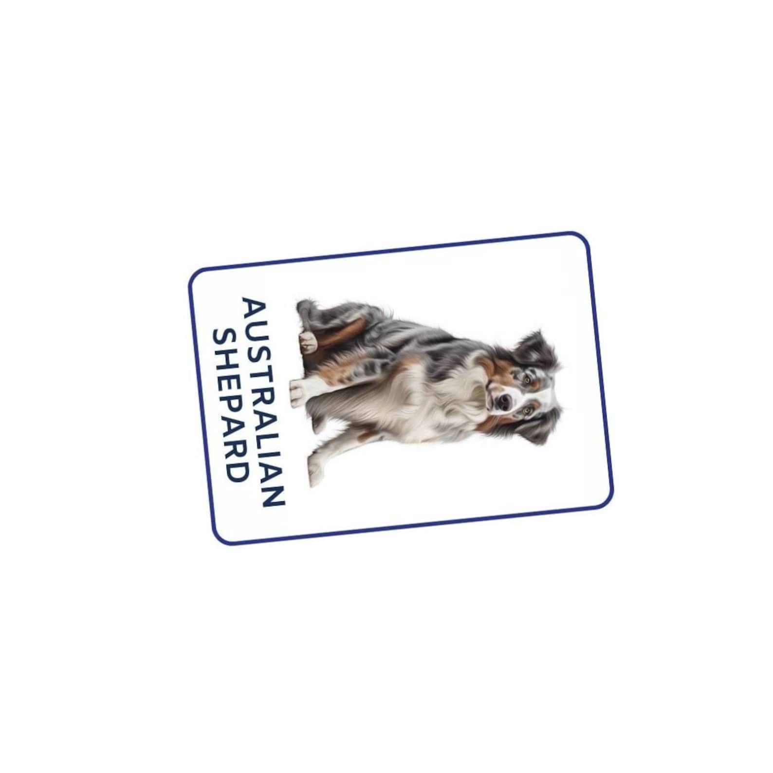 Explore 32 Australian Animals Flashcards for Kids, Printable ...