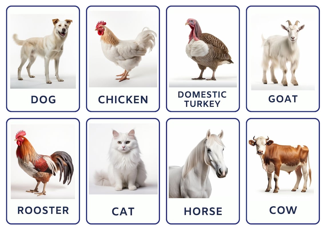 Flashcard Bundle of Woodland Animal Bundle Includes Farm Animals ...