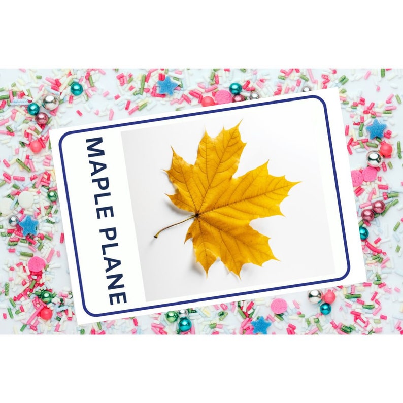 Discover Plant Leaves With 32 Editable Montessori Flash Cards ...