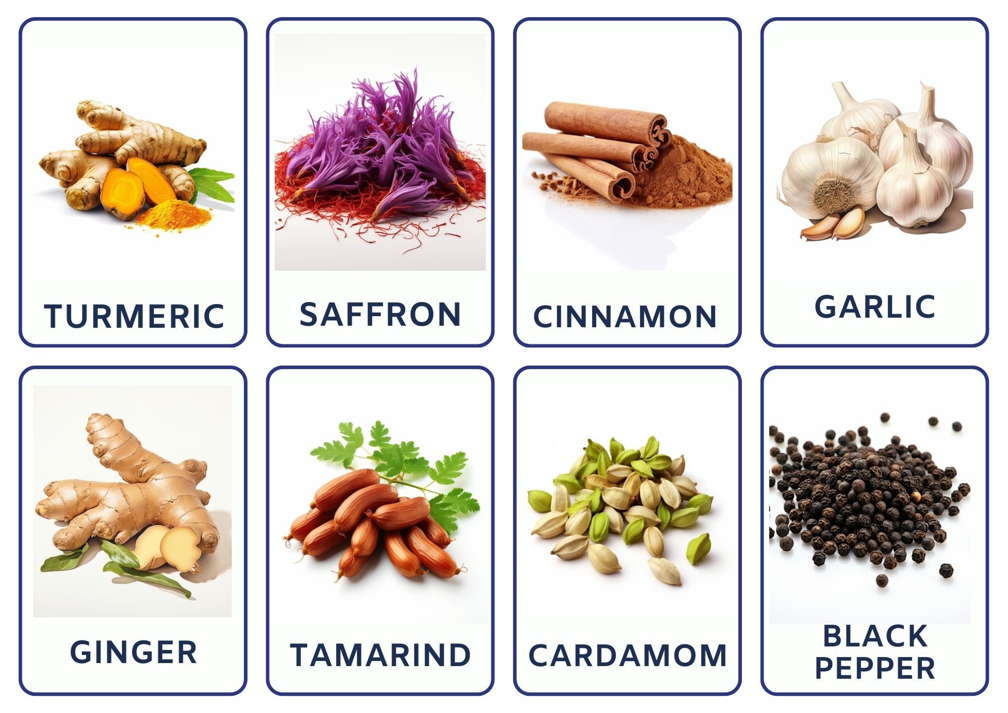 Natures Farm Feast Flashcard Bundle, Including Berries Flashcard, Nuts ...