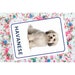 Explore Dog Breeds 32 Montessori Flashcards With Real Pictures ...
