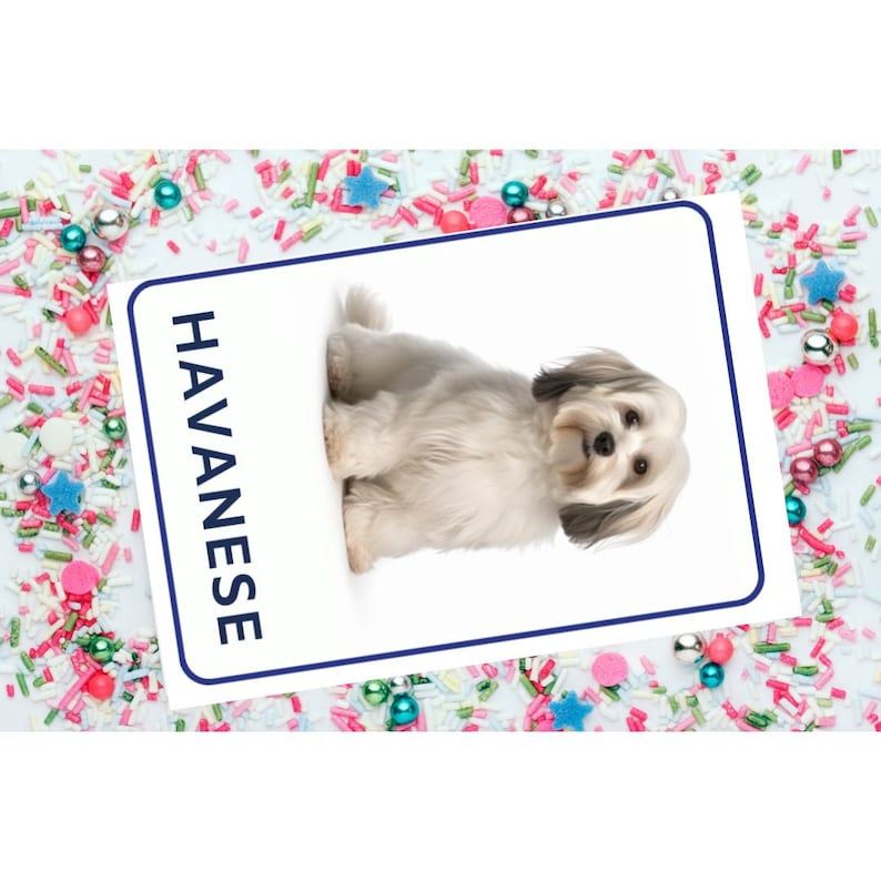 Explore Dog Breeds 32 Montessori Flashcards With Real Pictures ...