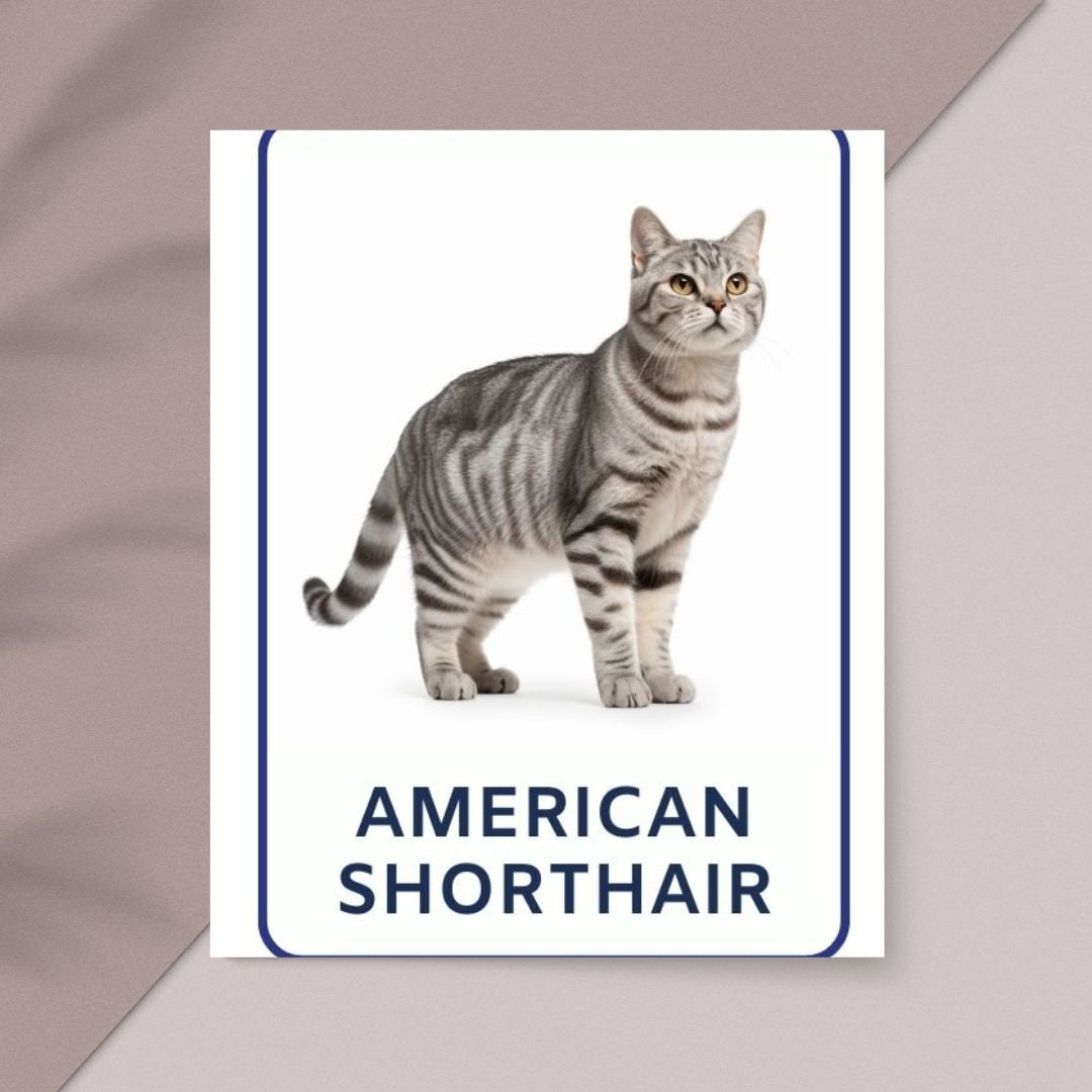 32 Cats Breed Flashcards, Kids Printable, Nomenclature Cards, Toddler ...