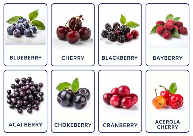 Flashcard Bundle of Food and Fruits Bundle Includes Berries, Citrus ...