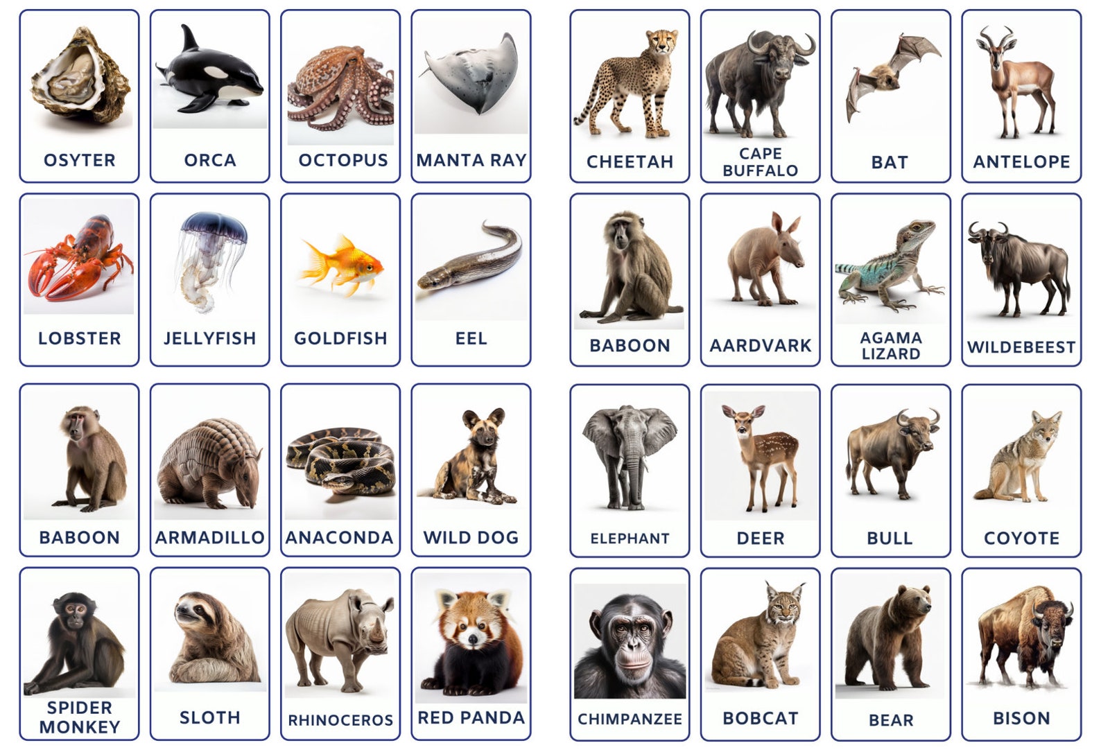 Flashcard Bundle of Animal Adventure Bundle Including African Animals ...