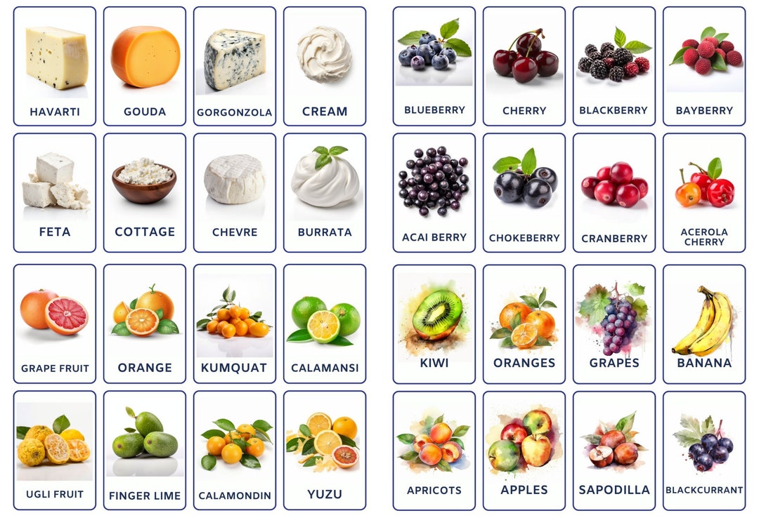 Flashcard Bundle of Culinary Delights Including Fast Food, Fruits ...